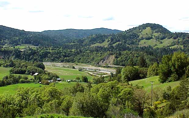 Return To The Emerald Triangle – Larry Livermore